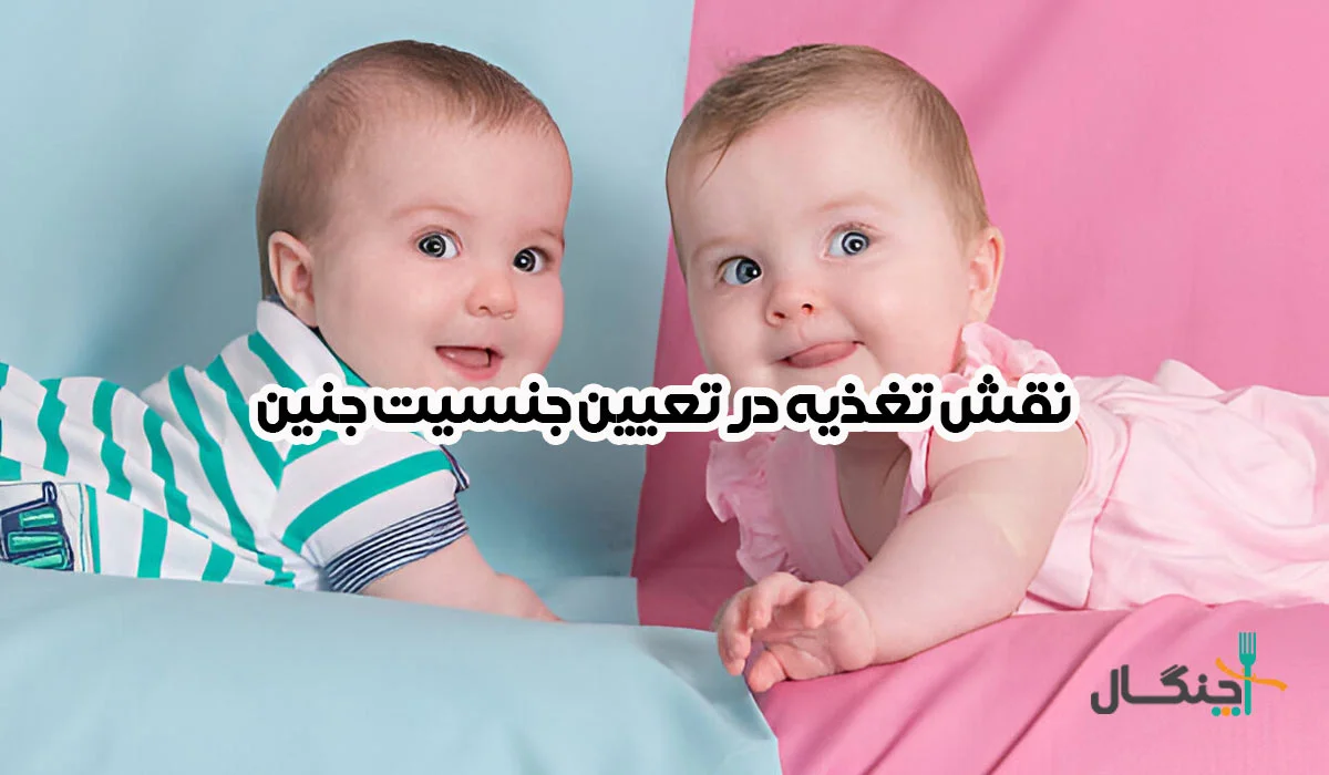نقش تغذیه در تعیین جنسیت رژیم غذایی دختردار و پسردار شدن